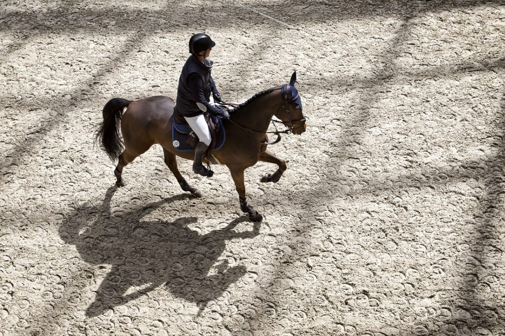 Découvrir Paris et sa région à cheval ! ⋆ Voyage Insolite